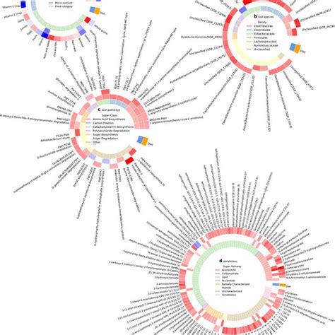 The Microbiome Mediates The Diet S Effect Each Alluvial Plot Shows