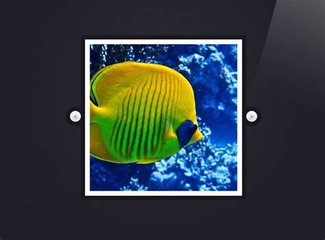 coding a rotating image slideshow w css3 and jquery tutorialzine