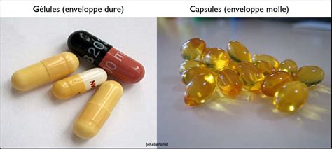 Différence Entre Capsule Et Gélule Une Explication Simple