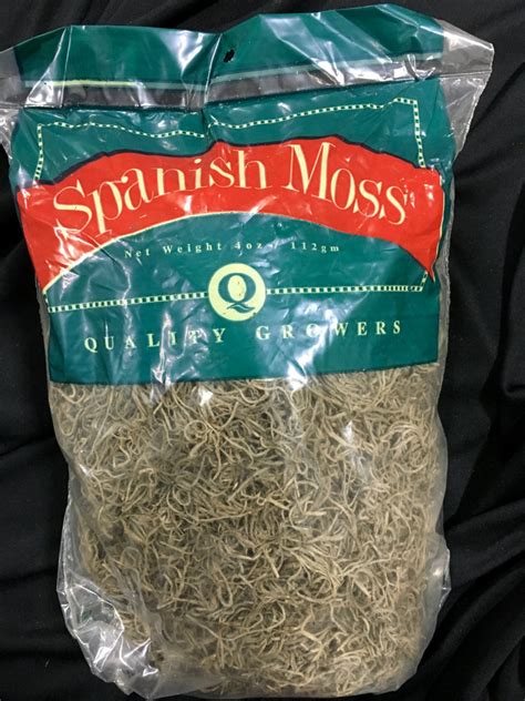 Spanish Moss Preserved Moss Grey Moss Green By Insmallpackages