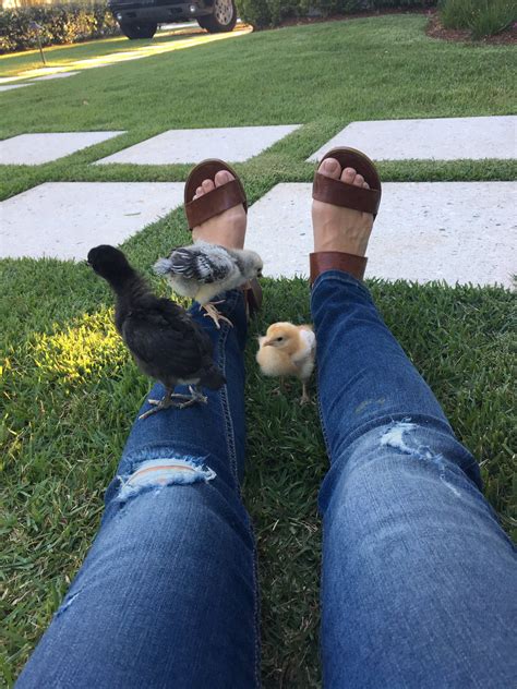 Whitney Goins Feet