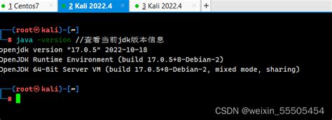 Kali安装jdk18和切换jdk版本kali切换java版本 Csdn博客 Kali安装jdk18和切换jdk版本kali切换java版本 Csdn博客