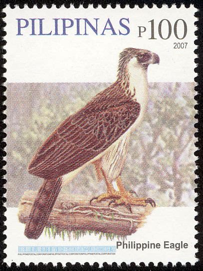 Philippine Eagle National Symbol