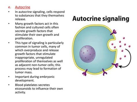 Intercellular Signalling Pathways Pptx