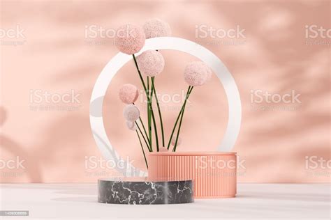 분홍색 3d 렌더링 그림 Pom Poms 꽃 꽃병 복사 공간 연단 디스플레이 제품 0명에 대한 스톡 사진 및 기타 이미지 0명 3차원 형태 강단 Istock