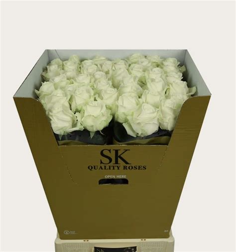 Losse Roos Wit Boeket Bloemenhuis Meindert Almelo