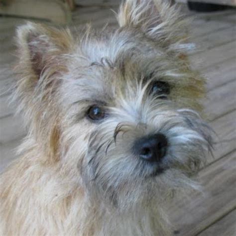 Natalie Case Youtube