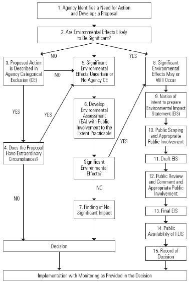 Nepa Process Flowchart Infographic Weryboutique
