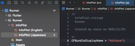 【flutter】app Storeにリリースする方法【ios Mac】 Enoiu