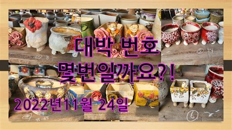 22년11월24일 5만원이상 무료택배감동다육화분 주문전화 010 9300 2575 다양한 예쁜화분들의 매력을 느껴보세요~ 수제화분 다육화분 Youtube