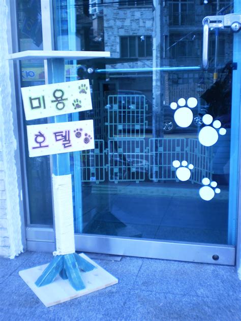 가음애견미용실