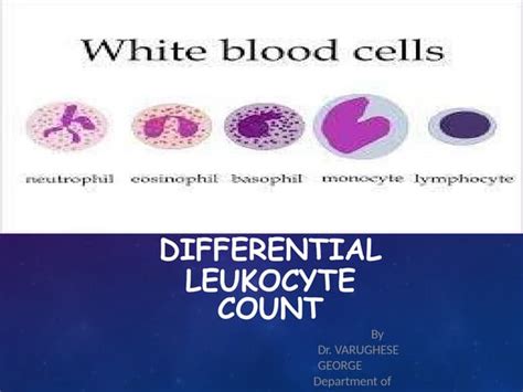 Differential Cell Count Pdf