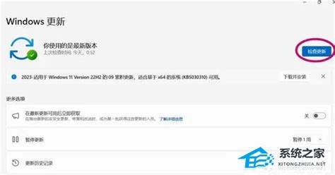 Win11 22h2专业版升级到win11 23h2专业版的两种方法 纯净版系统