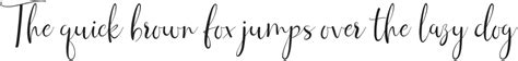 Annabelle Hand Lettering Script Font A Script Font By Medialoot