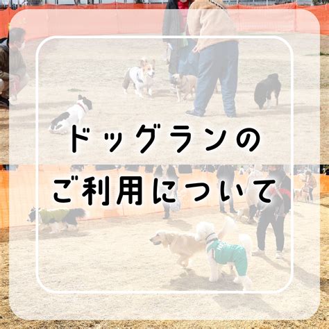 ドッグランのご利用について 第7回 みのおわんわんモール Wanwan Mallのブログ