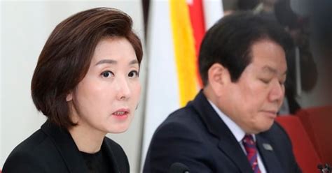 나경원 연동형 비례제 대신 의원수 10 감축 전제로 지역구·비례 배분 논의하자