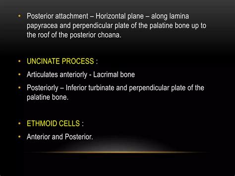 Ethmoid Bone Anatomy Pptx