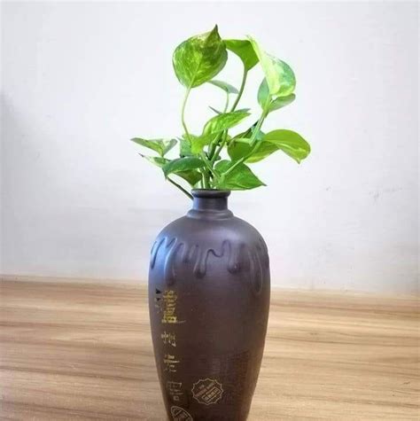 কষ্ট ভরা জীবন আমার
