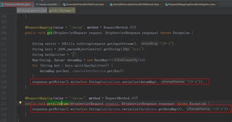 java lang nullpointerexception for com alibaba nacos naming misc
