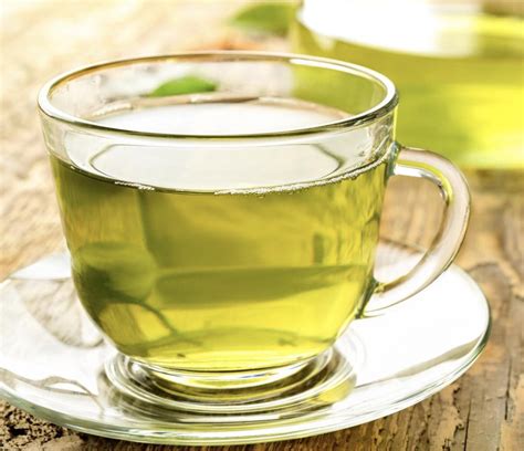 Green Tea Camellia Sinensis Etsy