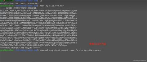 使用openssl生成签发证书步骤openssl 验证证书签名 Csdn博客