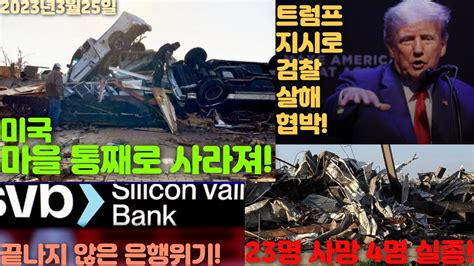 하루 아침에 미국 마을 하나 통째로 사라져 기네스 펠트로 뺑소니 혐의 소송 재판 캐시우드 돈나무언니 테슬라 주식 대거