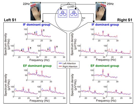 Figure 1 From Individual Optimal Attentional Strategy In Motor Learning Tasks Characterized By
