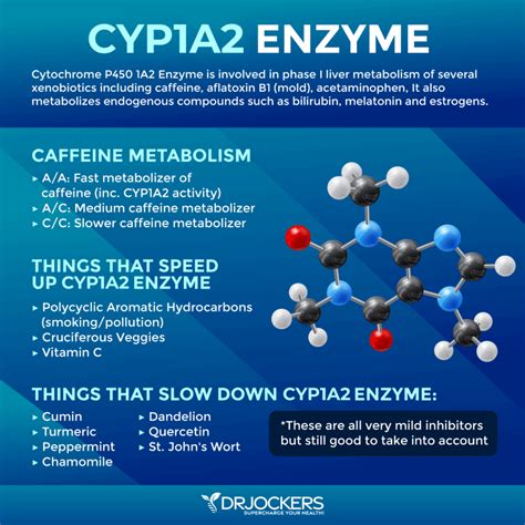 Are You A Slow Caffeine Metabolizer