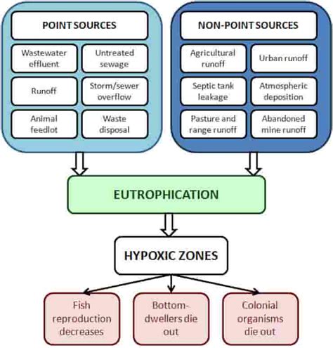 Eutrophication Causes
