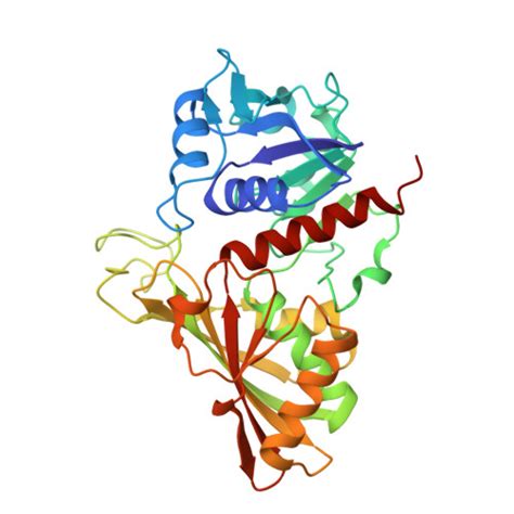 Rcsb Pdb 7q57 Single Particle Cryo Em Structure Of Photosynthetic