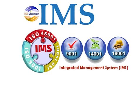 Business Management System Integrated Management System IMS ISO
