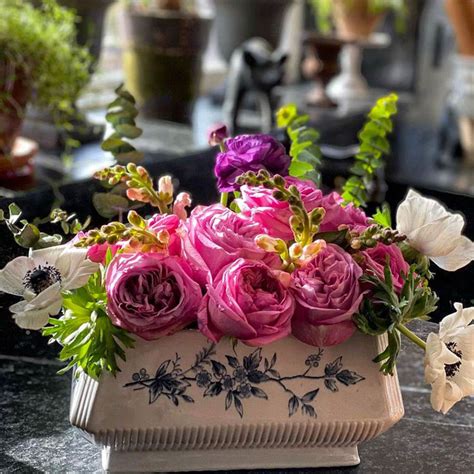 Ranunculus Butterfly Pink Lycia Sami Sacha Flowers