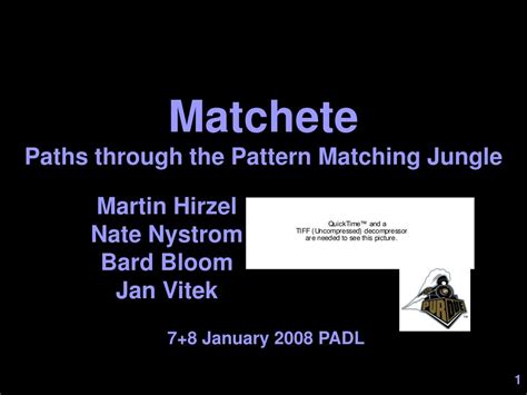 Ppt Matchete Paths Through The Pattern Matching Jungle Powerpoint