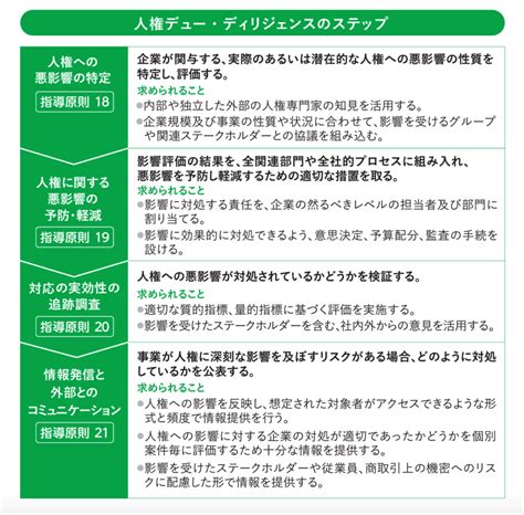 人権dd（人権デューデリジェンス）完全ガイド 企業が知るべき実施方法、法規制、及びサプライチェーンの役割を事例で解説 サステナビジョンズラボ