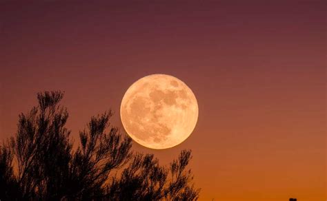 Día Internacional De La Luna Los Datos Que Necesitas Saber El