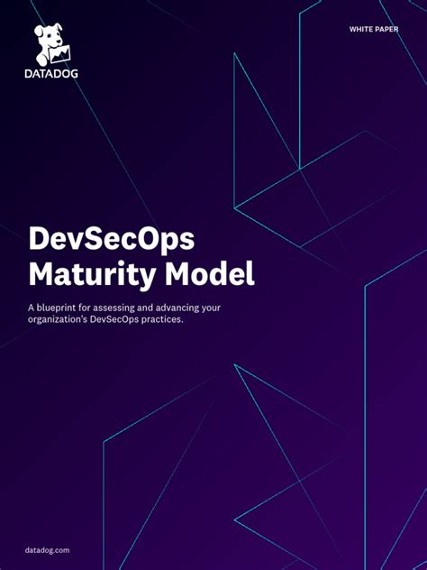 Dev Sec Ops Maturity Model Pdf Business Computing