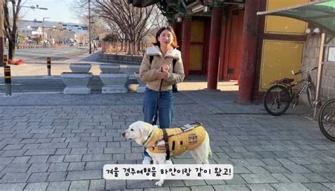 시각장애인은 다이소 못 가나요…“안내견 안 돼요” 거부한 직원 논란