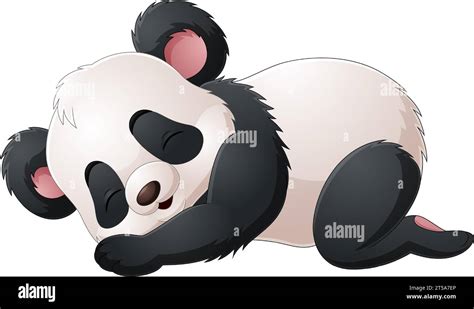 Cartoon Panda Sleeping On White Background Stock Vector Image And Art Alamy