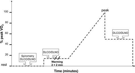 Description Of The Investigations Experimental Protocol