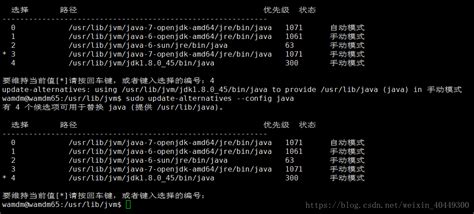 Ubuntu系统解决java的环境变量（解决默认的openjdk无法修改）ubuntu Java安装后还是默认环境 Csdn博客