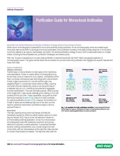 Monoclonal Antibody Purification Guide Bio Rad