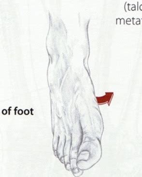 Midterm Review Flashcards Quizlet