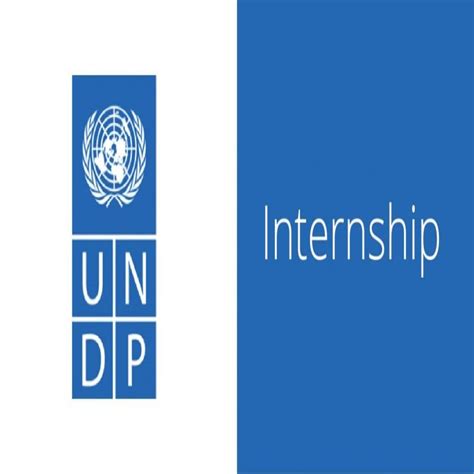 Undp Graduate Programme 2024 Application Naijjobs