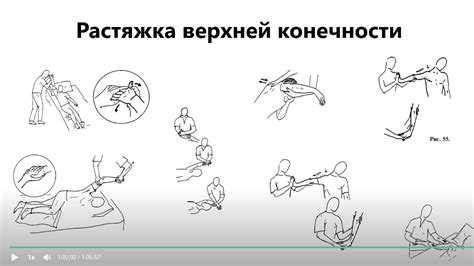ВВЕДЕНИЕ В РЕАБИЛИТАЦИЮ ДЛЯ СПЕЦИАЛИСТОВ ПО УХОДУ Виртуальный
