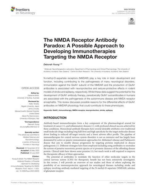 Pdf The Nmda Receptor Antibody Paradox A Possible Approach To Developing Immunotherapies