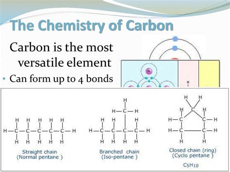 Ppt Biomolecules Powerpoint Presentation Free Download Id 2672962