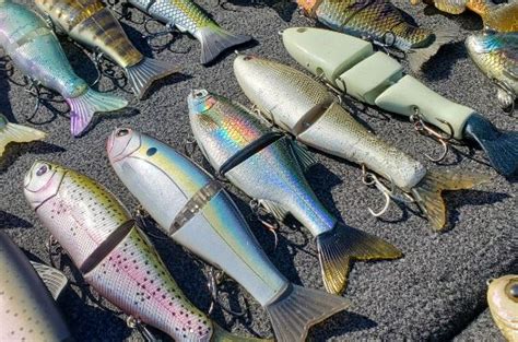 Best Lures For Clear Water Bass Fishing Barb Catch Fishing