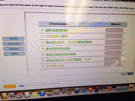 Solved The Diagram Below Shows Two Normal Chromosomes In