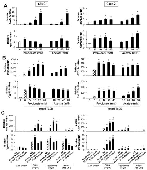 Acetate And Propionate Enhances Cyp1a1cyp1a1 Expression In Yamc And