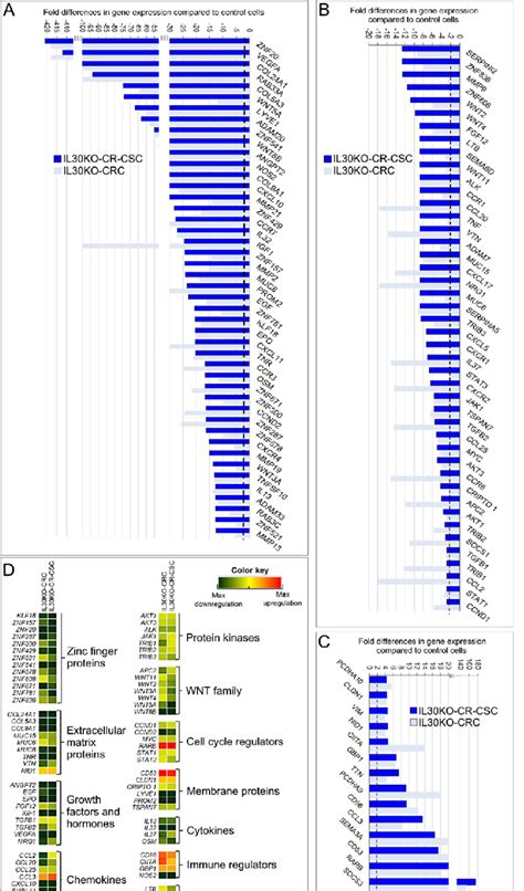 Regulation Of The Transcriptional Profile Of Crc Cells And Cr Cscs By